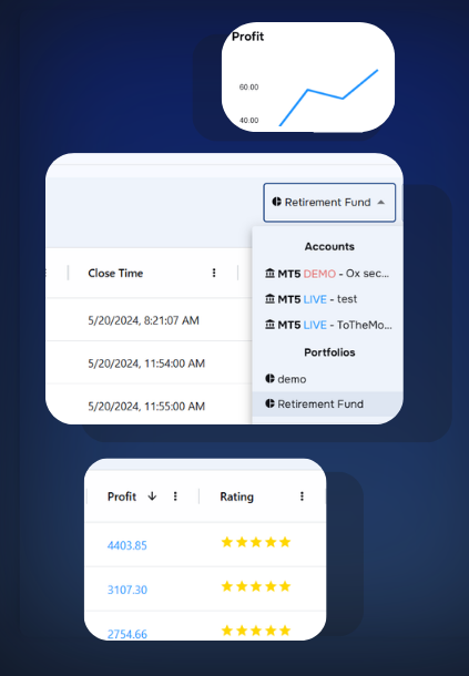 Online Trading Journal | Kostenlose Trading Journal Software | TraderWaves